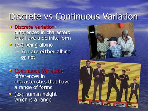 What Is Variation Variation Is The Diversity Among A Set Of Objects