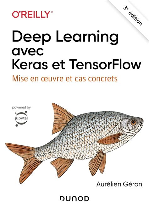 deep learning avec keras et tensorflow 3e éd mise en oeuvre et cas concrets géron aurélien