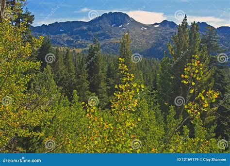Carson Pass Stock Image Image Of Hiking Scenic Trail 12169179
