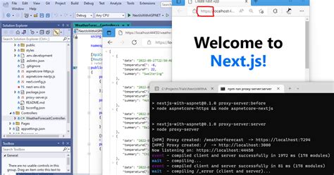 Github Sample By Jsakamoto Nextjswithaspnetcore Next Js With Asp Net Core In A Development