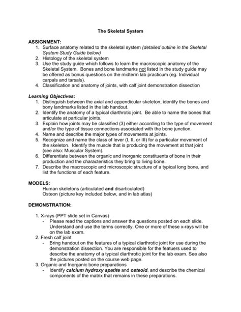 Skeletal System Study Outline