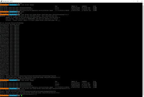 Do Pega Docker Images With The Same Tag Got Updated Regularly Either In Pega Dockerdownloads