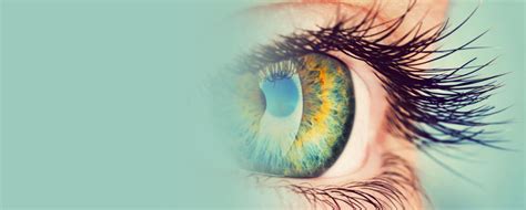 bilan de la vue ophtalmo expert