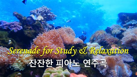 클래식 명곡 잔잔한 피아노 연주곡 공부 집중력 높여주는 음악 공부할때 듣는 음악 공부 Asmr 커피숍 음악 휴식 태교 신생아 음악아침에듣는클래식 스터디 카페
