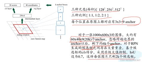 【目标检测经典算法】r Cnn、fast R Cnn和faster R Cnn详解系列三：faster R Cnn图文详解最新rcnn系列