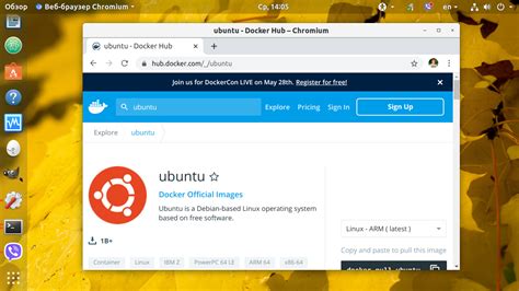 Запуск контейнера Docker Losst