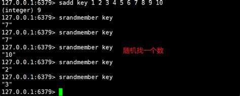 Redis远程字典服务器(7)—— Set类型详解redis Set Add Csdn博客 Redis远程字典服务器(7)—— Set类型详解redis Set Add Csdn博客