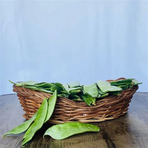 Organic Broad Beans At Rs 60kg Organic Vegetables In Coimbatore Id 2853398875791