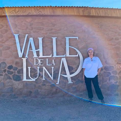 Valley Of The Moon In San Pedro De Atacama Chile South America