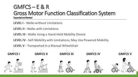 Gmfcs Gross Motor Function Classification System Cerebral 55 Off