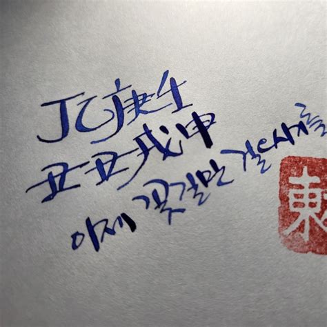 꽃길만걸으시기를 캘리그라피 포트폴리오 크몽