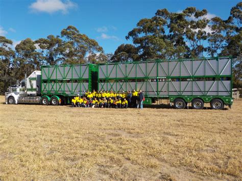 Bd13 Cannon Trailers