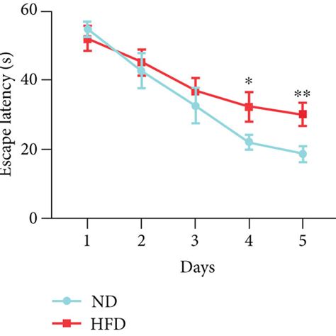 hfd aggravates spatial learning and memory abilities a schematic