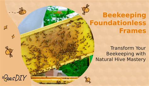 Beekeeping Foundationless Frames Transform Your Beekeeping With Natural Hive Mastery
