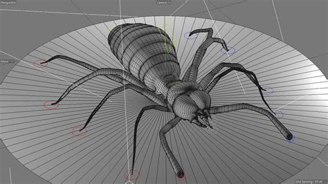 3d Model Monstrous Solifugae Turbosquid 2081300