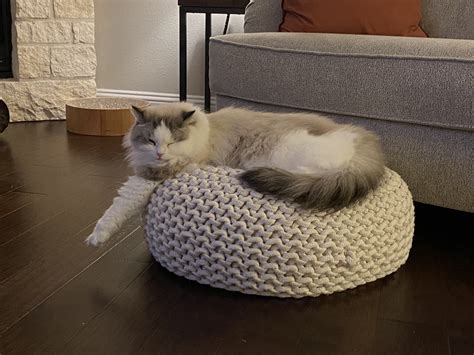 Straightenedfeetsies