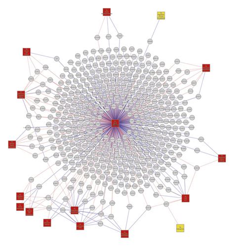 Lncrna Pathways Enrichment Network Constructed Using Oscc Related
