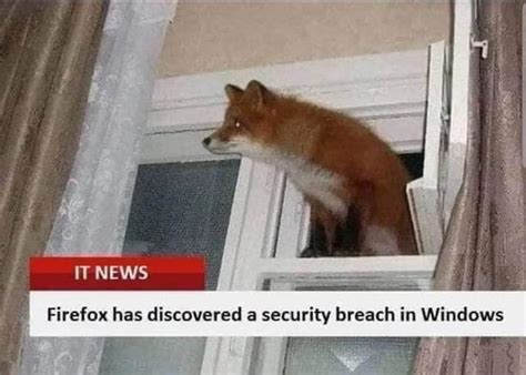 i think windows needs to update their security r programmerhumor