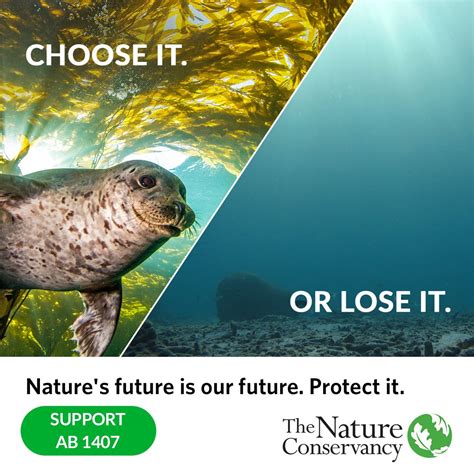 The Nature Conservancy On Linkedin Were All In On Proposition 4