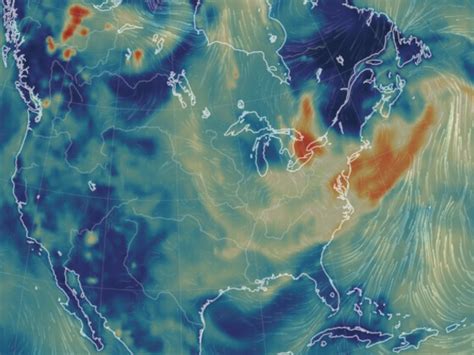 산불때문에 공기가 나빠졌다는 미국 근황 유머 게시판