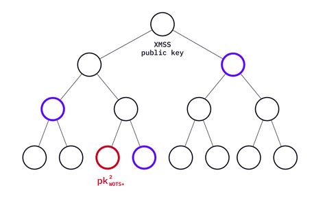 How Do Hash Based Post Quantum Digital Signatures Work Part 1 · Eric Zhang Vegebun · Dora