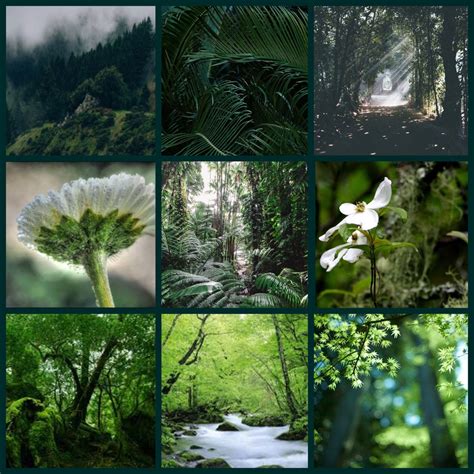 Moodboards — Green Natureforest Agender Moodboard For