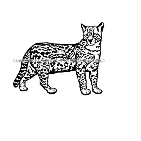 Ocelot Svg Ocelot Clipart Ocelot Files For Cricut Ocelot Inspire Uplift