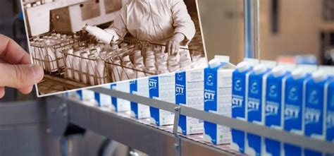 Сүү Хувьцаат Компани Цахилгааны техникч 1