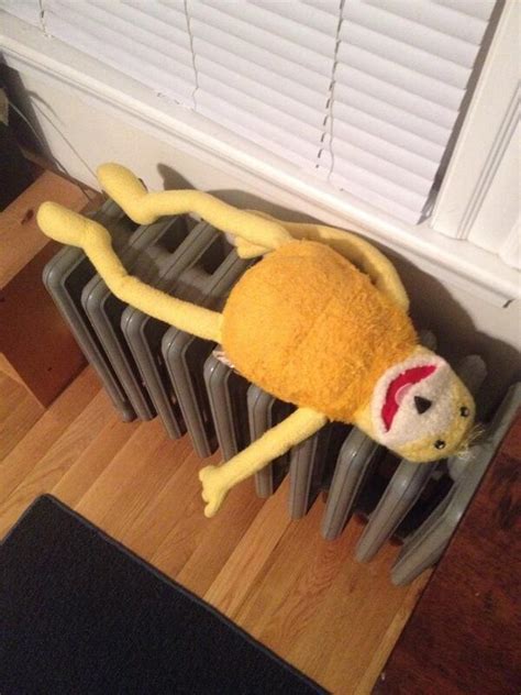 Flat Eric Memes
