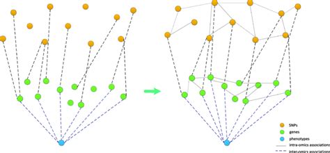 Model Of Genotype Phenotype Association Based On Biological Network Download Scientific