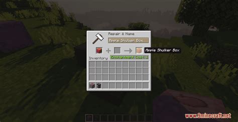 Visual Shulker Labels Resource Pack 1192 119 Texture Pack Mc