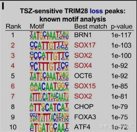 科研人必不可少的chip seq，尽快收藏 知乎