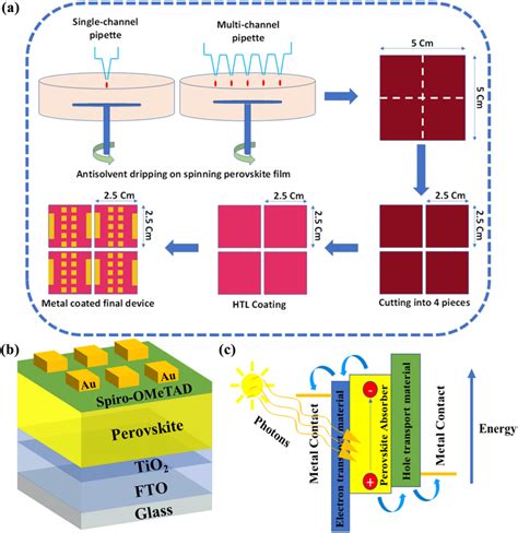 A Schematic Of Large Area Film And Device Formation B Device Download Scientific Diagram