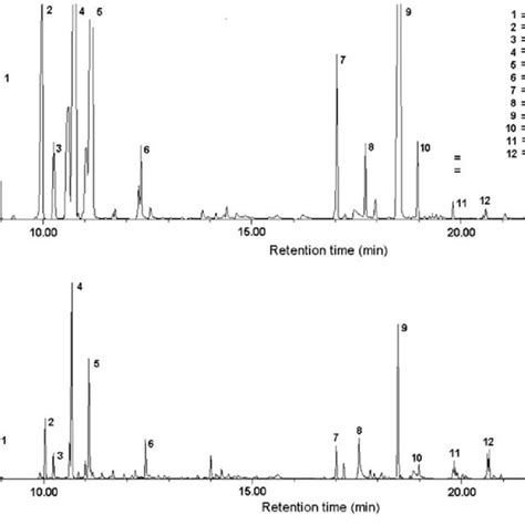 Pdf Gc Ms Analysis Of The Essential Oils Of Piper Nigrum L And Piper