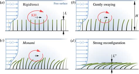 Large Eddy Simulation Of The Fluidstructure Interaction In An Abstracted Aquatic Canopy