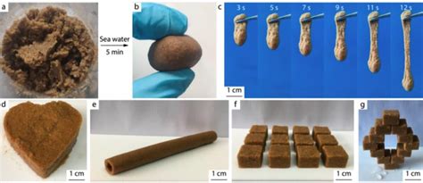 New Adhesive Found To Work Perfectly In Seawater
