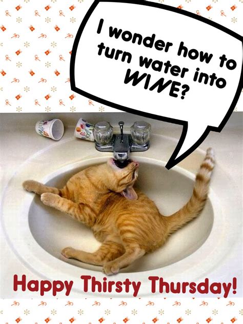 Funny Thursday Quotes Quotesgram
