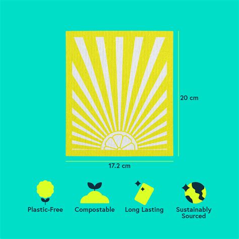 Eco Sponge Cloths 4 Pack Seep