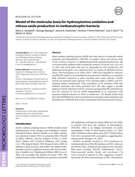 Pdf Model Of The Molecular Basis For Hydroxylamine Oxidation And