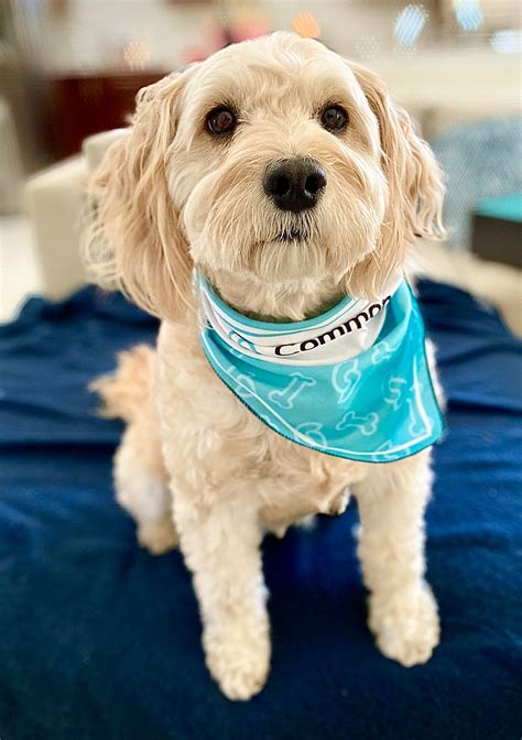 Danielle Barb Daniellebarb7 Twitter