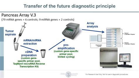 The Essential Role Of Mirna And Mrna On Cancer Progression And