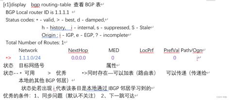 bgp实验配置与验证 csdn博客