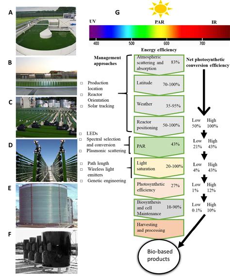 Pilot Scale Photobioreactor Configurations And Conversion