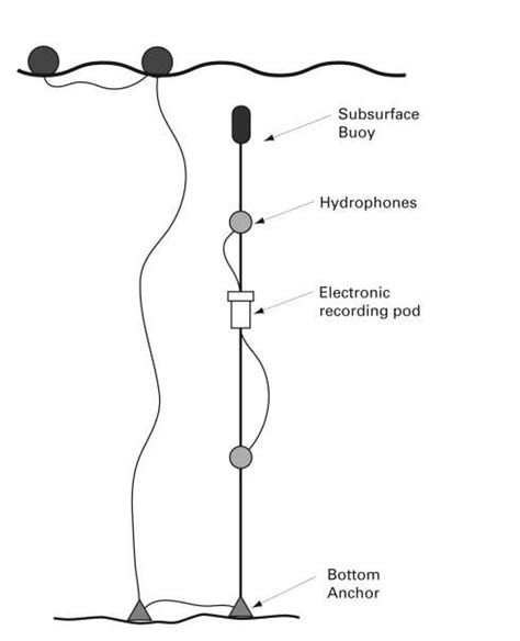 2 Recording Buoy Hydrophone Deployment Download Scientific Diagram