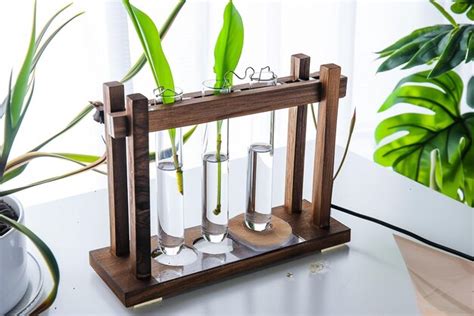 Elegant Glass Plant Propagation Station Premium Ai Generated Image