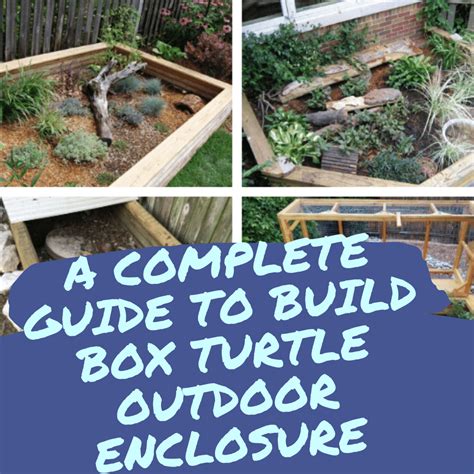 Diy Box Turtle Outdoor Enclosure