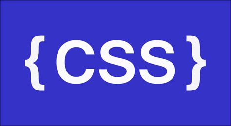 css in hindi learn free css online in hindi tutorialpandit