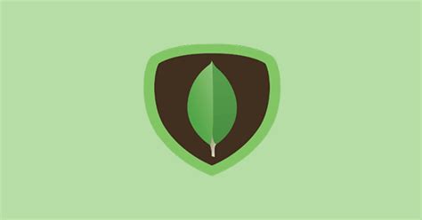 آموزش Mongodb مانگودی بی یک دیتابیس Nosql