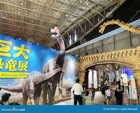 Brachiosaurus Dinosaur Skeleton Fossils Editorial Image 332792016