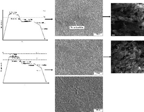 The Impact Of Deformation Conditions On Divorced Eutectoid